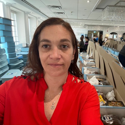 Stream Newly Elected D'Arcy McGee Liberal MNA Elisabeth Prass On ...