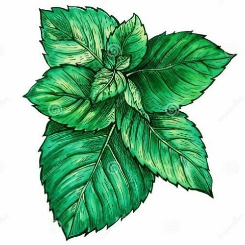 Stream Polo G - Martin & Gina (SLOWED, REVERB, BASS BOOST) by JÄDED ...