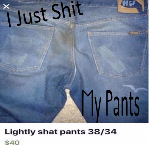 Stream I Just Shit My Pants (Suno Version) by 30,000 USD | Listen ...