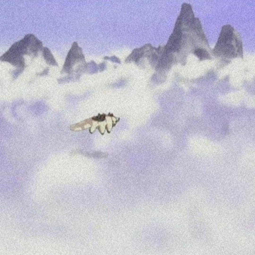 Stream appa w/hibernated (2020) by tacash | Listen online for free on ...