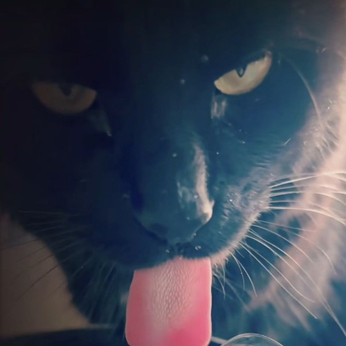 Stream Nettspend - Nothing like you ☆instrumental slowed☆ by ☆ | Listen ...