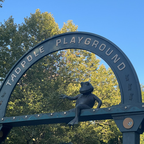 Stream playground by 6elle | Listen online for free on SoundCloud