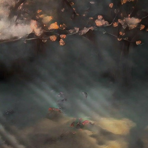 Stream self reinforcing cycle by DAKAYA | Listen online for free on ...