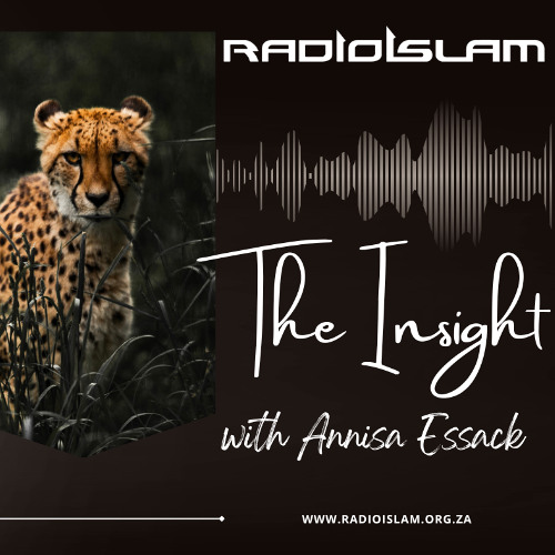 Stream The Insight: Project Cheetah - The Hidden Costs of Rewilding ...