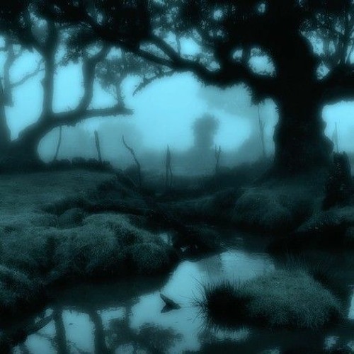 Stream 4runner brenn | tiktok | by Bloody | Listen online for free on ...