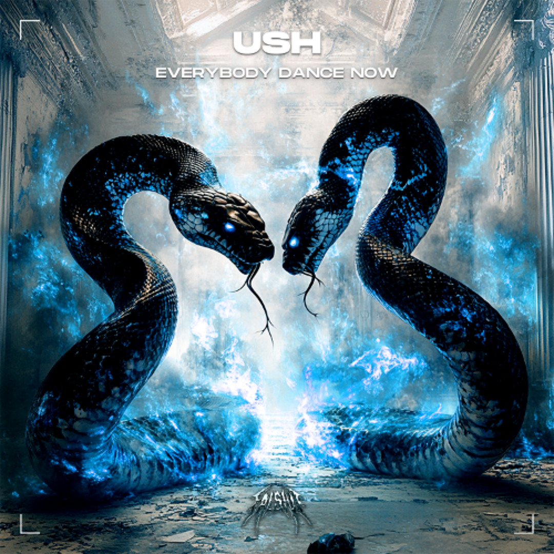 Stream USH - EVERYBODY DANCE NOW by Falsive Records | Listen online for ...