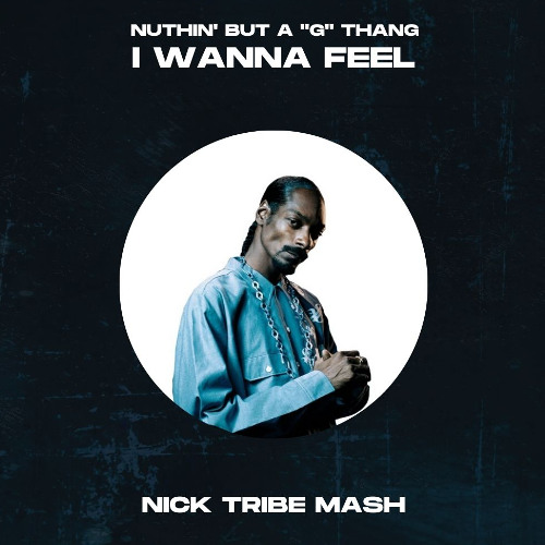 Stream Nuthin' But A 'G' Thang I Wanna Feel (Nick Tribe MASH) by Nick ...
