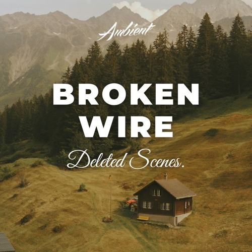 Stream Deleted Scenes. - Broken Wire by AmbientMusicalGenre | Listen ...
