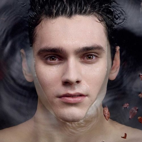 Stream Family Tree by Tom Fuller | Listen online for free on SoundCloud