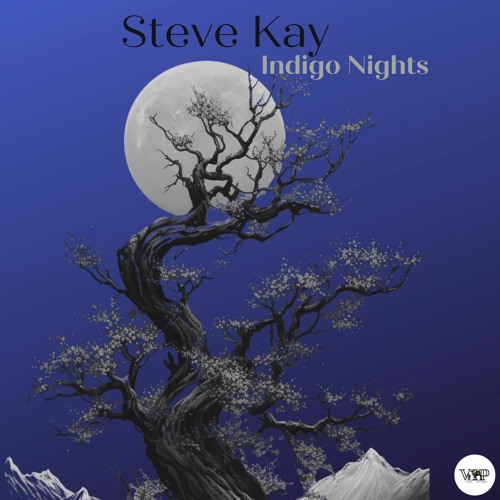 Stream 𝐏𝐑𝐄𝐌𝐈𝐄𝐑𝐄: Steve Kay - Indigo Nights (City Lights Mix) [Camel VIP ...