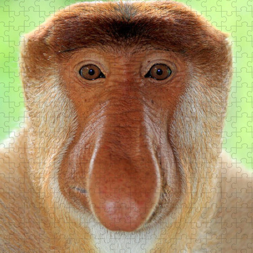 Stream scary nose by YUNG APALLO | Listen online for free on SoundCloud