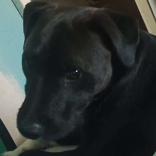 Stream how do i say goodbye super hero by Pj saw | Listen online for ...