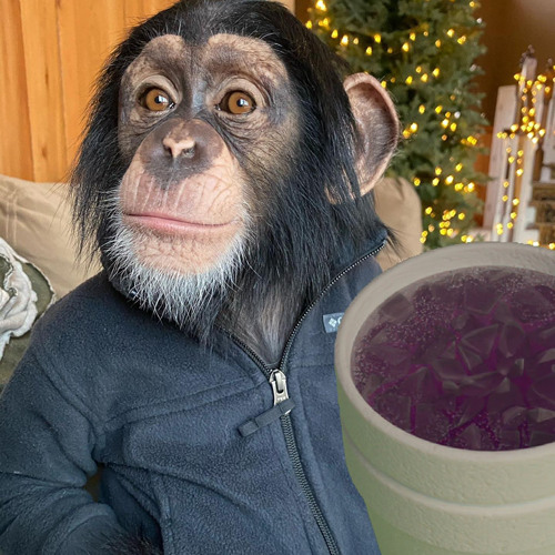 Stream Monke wit da lean 2 (FEAT tclickem69) by Yung Nippleman | Listen ...