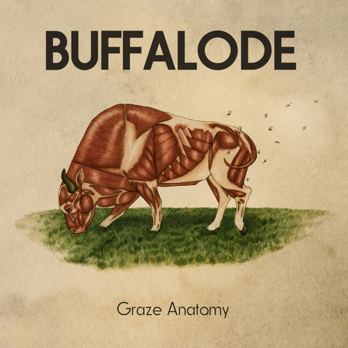 Stream Stalagmight, Stalagmight Not by Buffalode | Listen online for ...
