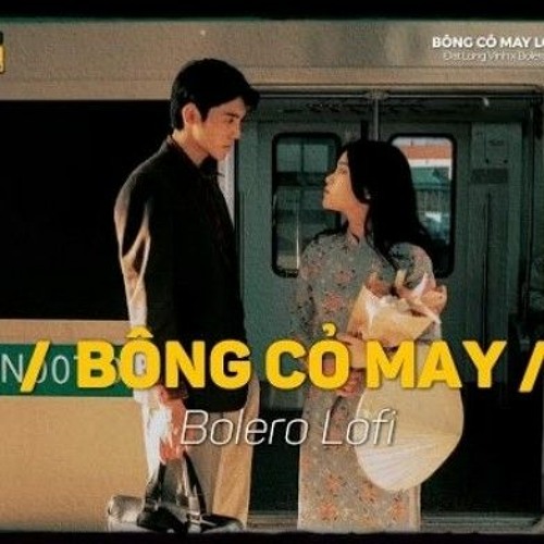 Stream Bông Cỏ May - (Lofi Ver_) x Bolero Lofi _ Đạt Long Vinh _ Tóc mây thơm mùi cỏ đưa anh ...