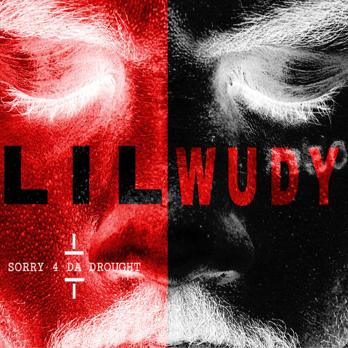Stream Lil Wudy (@1lilwudy) | Listen to Sorry 4 Da Drought playlist ...
