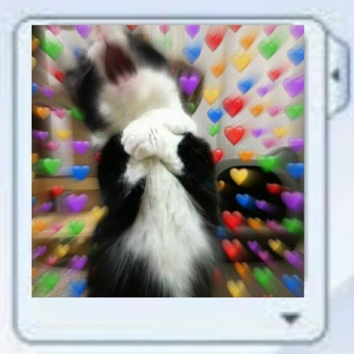 Stream wilo wilde - shy girl (dwams remix) by DWAMS™ | Listen online ...