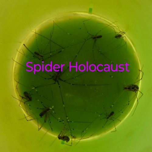 Stream Spider-Holocaust by Nick Brittan | Listen online for free on ...