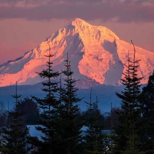 Stream Sing along - Real Lil Jose by Real Lil Jose | Listen online for ...