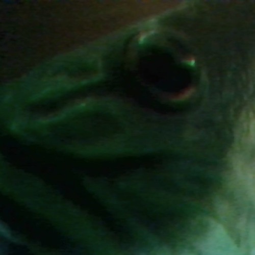 Stream Scrambledlikemybrain by Riggity roo | Listen online for free on ...