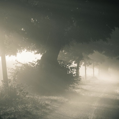 Stream Dub Techno Session 131 By Dj Sideways Listen Online For Free