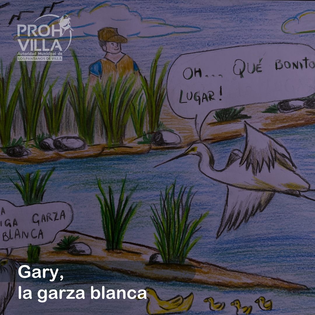 Stream episode E9. Gary, la garza blanca by PROHVILLA podcast | Listen ...
