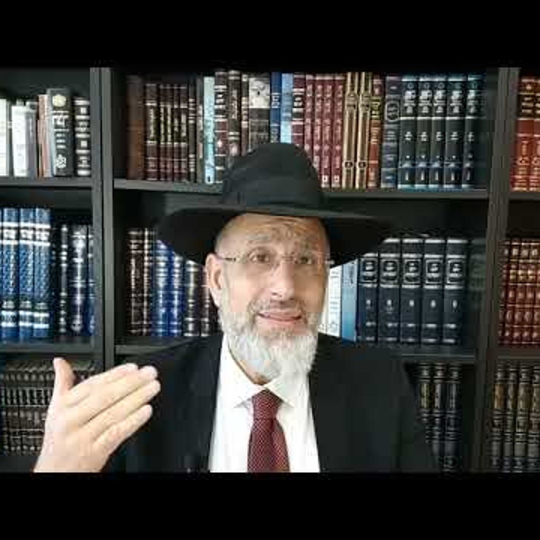 Stream Paracha Béchala'h - Des ossements face à l'océan by Rav David ...