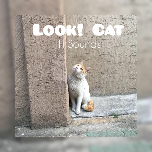 Stream [Free Beats] "Look! Cat" - TH Sounds Production by TH Sounds ...