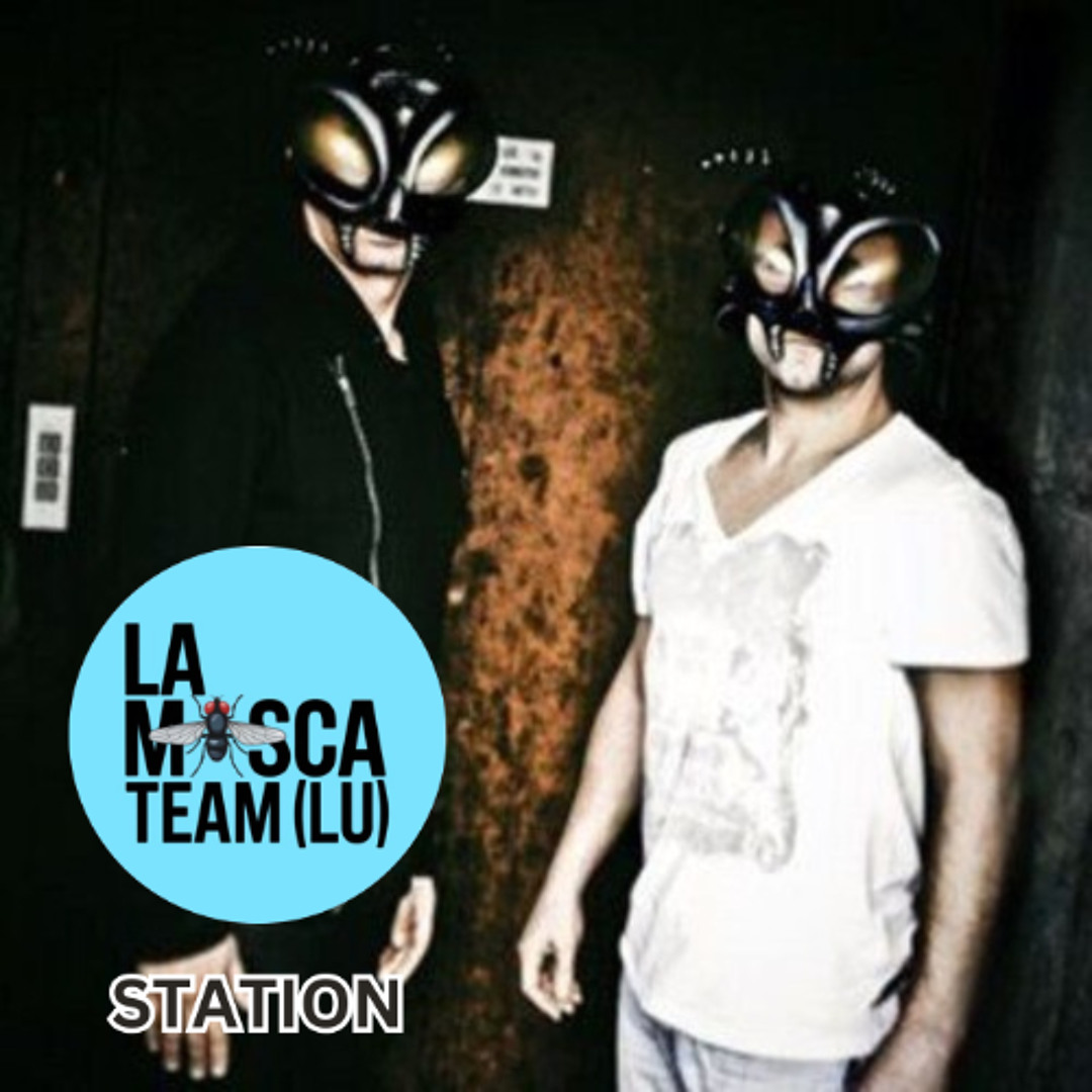 Stream LA MOSCA (LU) | Listen to Brazilian Songs Afro House Remixes ...