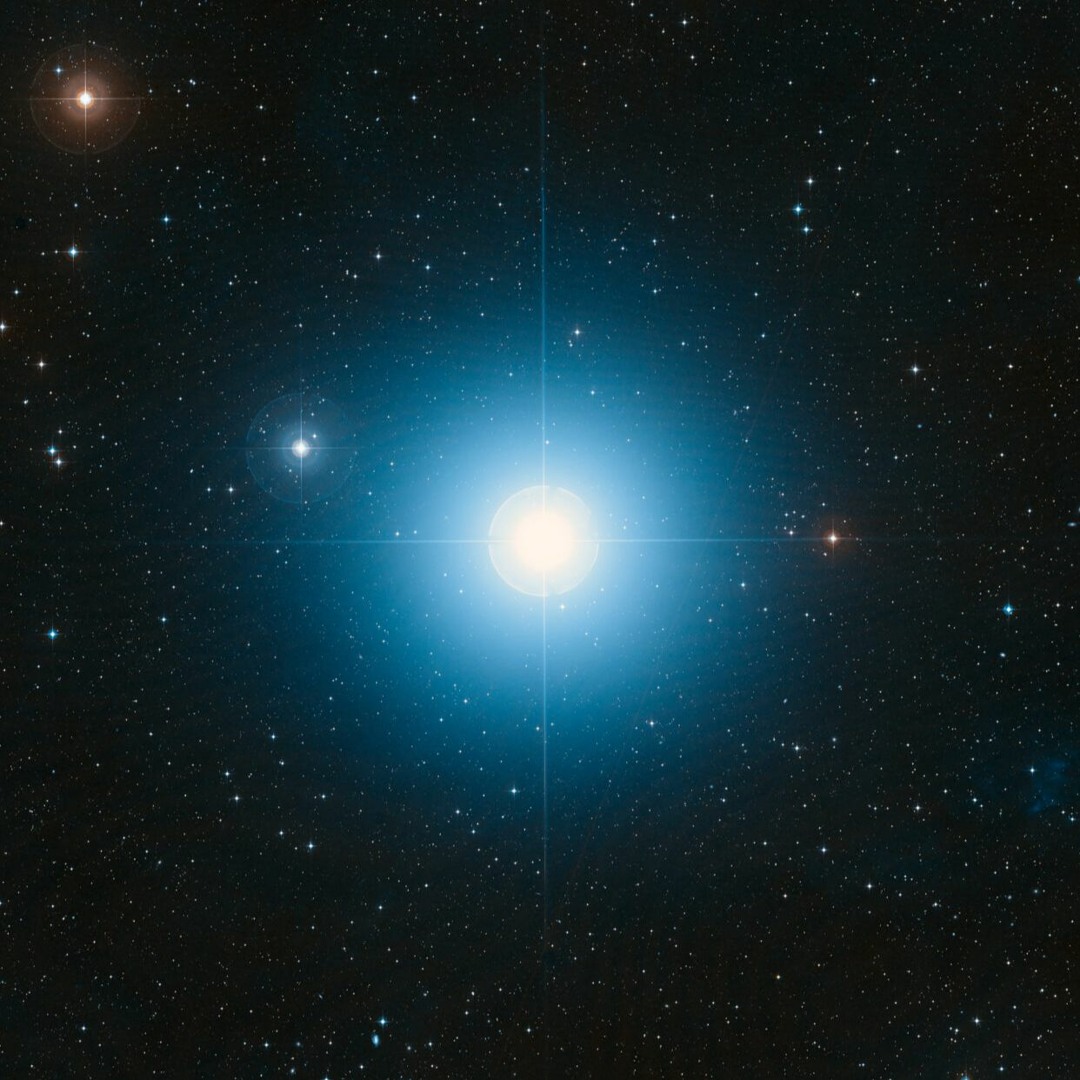 Stream Martin Markel - Young Star by Martin Markel | Listen online for ...