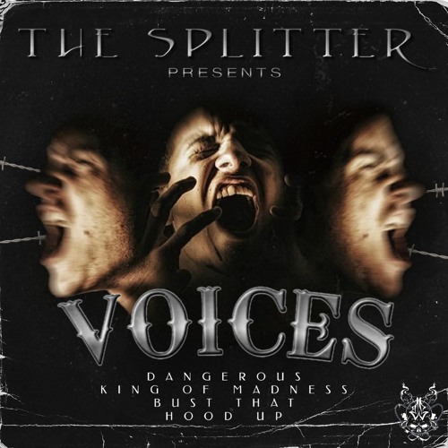 Stream The Splitter - Bust That by The Splitter | Listen online for ...