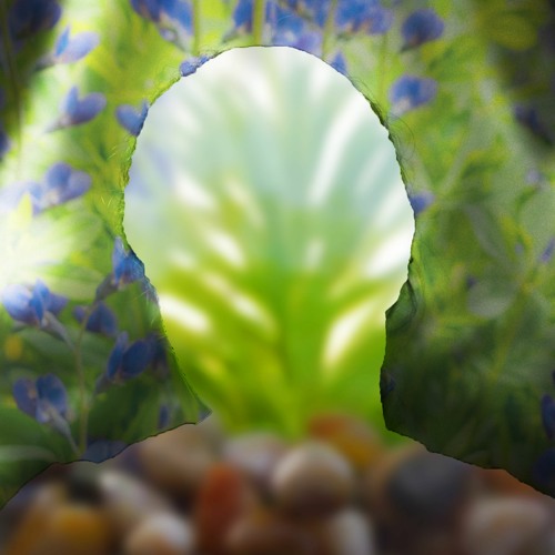 Stream Thank You by X-LO | Listen online for free on SoundCloud