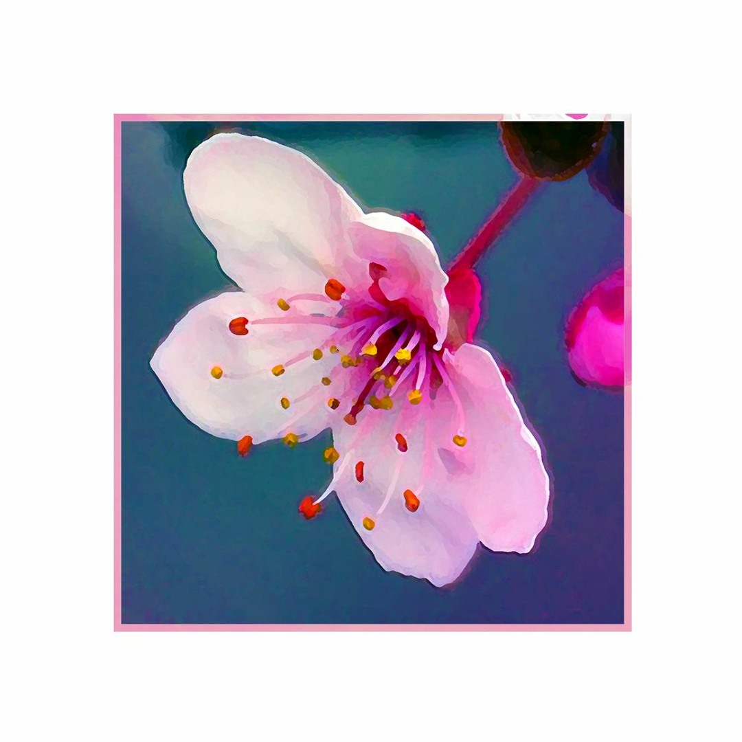 Stream Blossom (father playstation + Promtastik) by father p | Listen ...