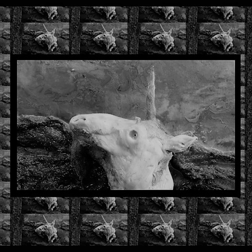 Stream piosenka, której słucha jednorożec by Barbara Rupik | Listen ...