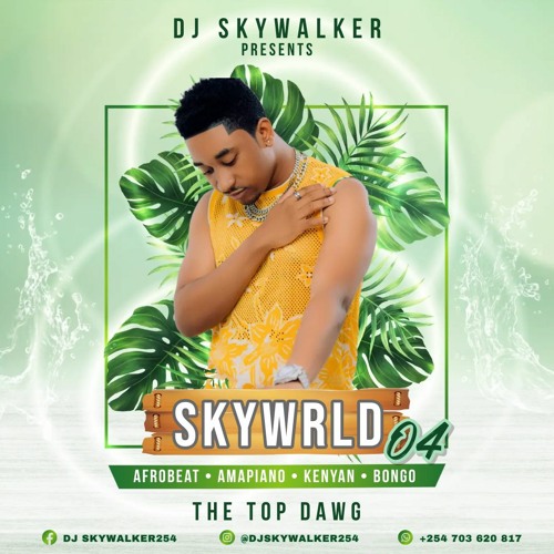 Stream DJ Skywalker - Skywrld 4 by DJ Skywalker | Listen online for ...