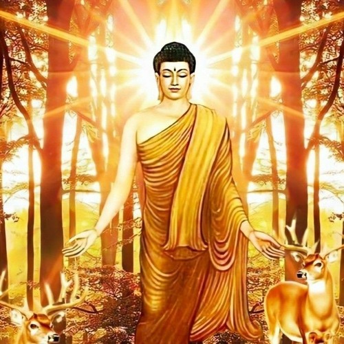 Piyadassi
