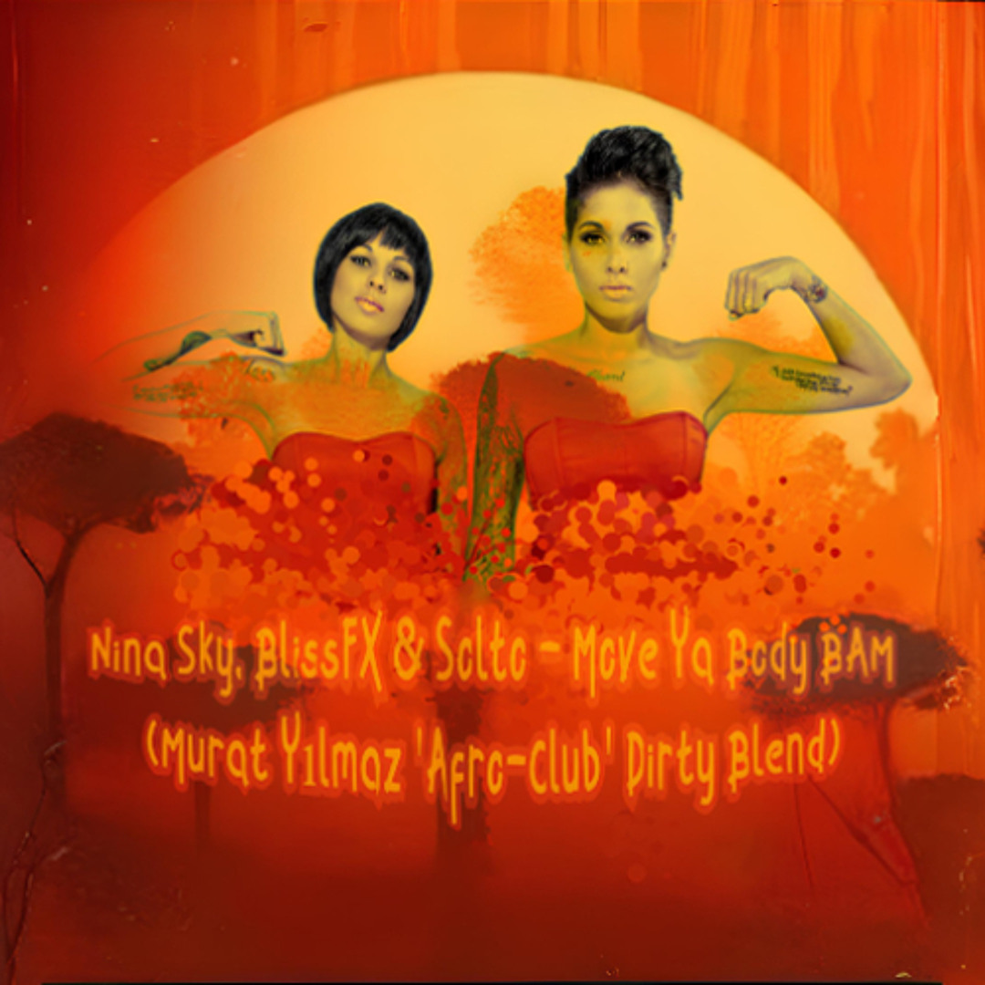 Stream Nina Sky, BlissFX & Söltö - Move Ya Body BAM (Murat Yılmaz 'Afro ...