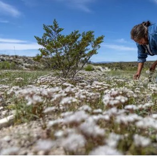 Stream Apache Desert by Geoffrey Ives - Piano Music from Maine | Listen ...