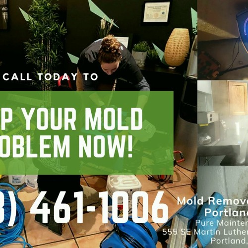 Stream Pure Maintenance Portland | Listen to Mold Removal Forest Park ...