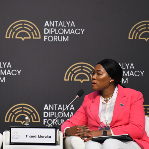 Stream Deputy Minister Thandi Moraka participates in a Panel Discussion ...