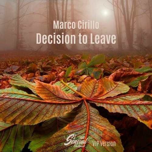 Stream Marco Cirillo - Decision to Leave (VIP Version) by Marco Cirillo ...