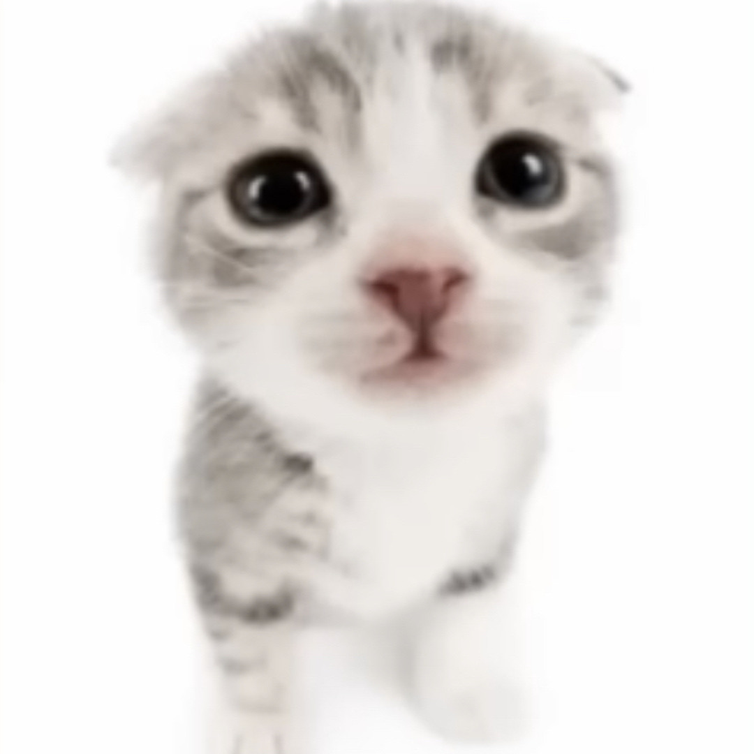 Stream ⋆°𖦹 007n7 .ᐟ | Listen to Silly goober playlist playlist online ...