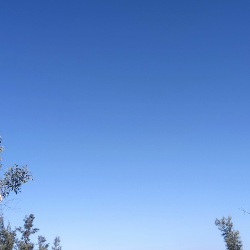 Stream Scape from the golden cage by Universo Numérico | Listen online ...