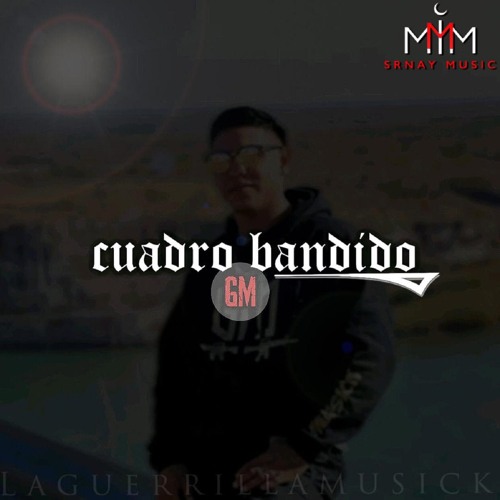 Stream El Gato 1 by La Guerrilla Musick | Listen online for free on ...