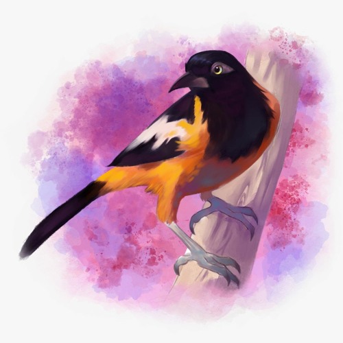 Stream Turpial by Laura Espitia | Listen online for free on SoundCloud