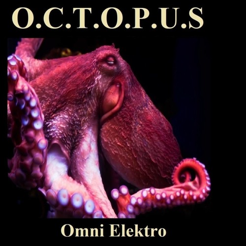 Stream Octopus - Omni Elektro by Omni Elektro | Listen online for free ...