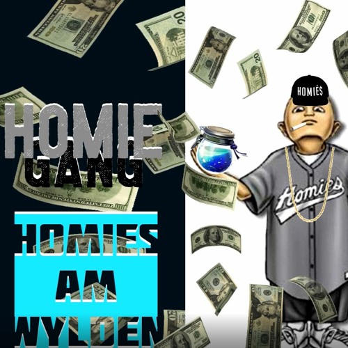 Stream Homie Gang - Homies Am Wylden by homie_recordz | Listen online ...