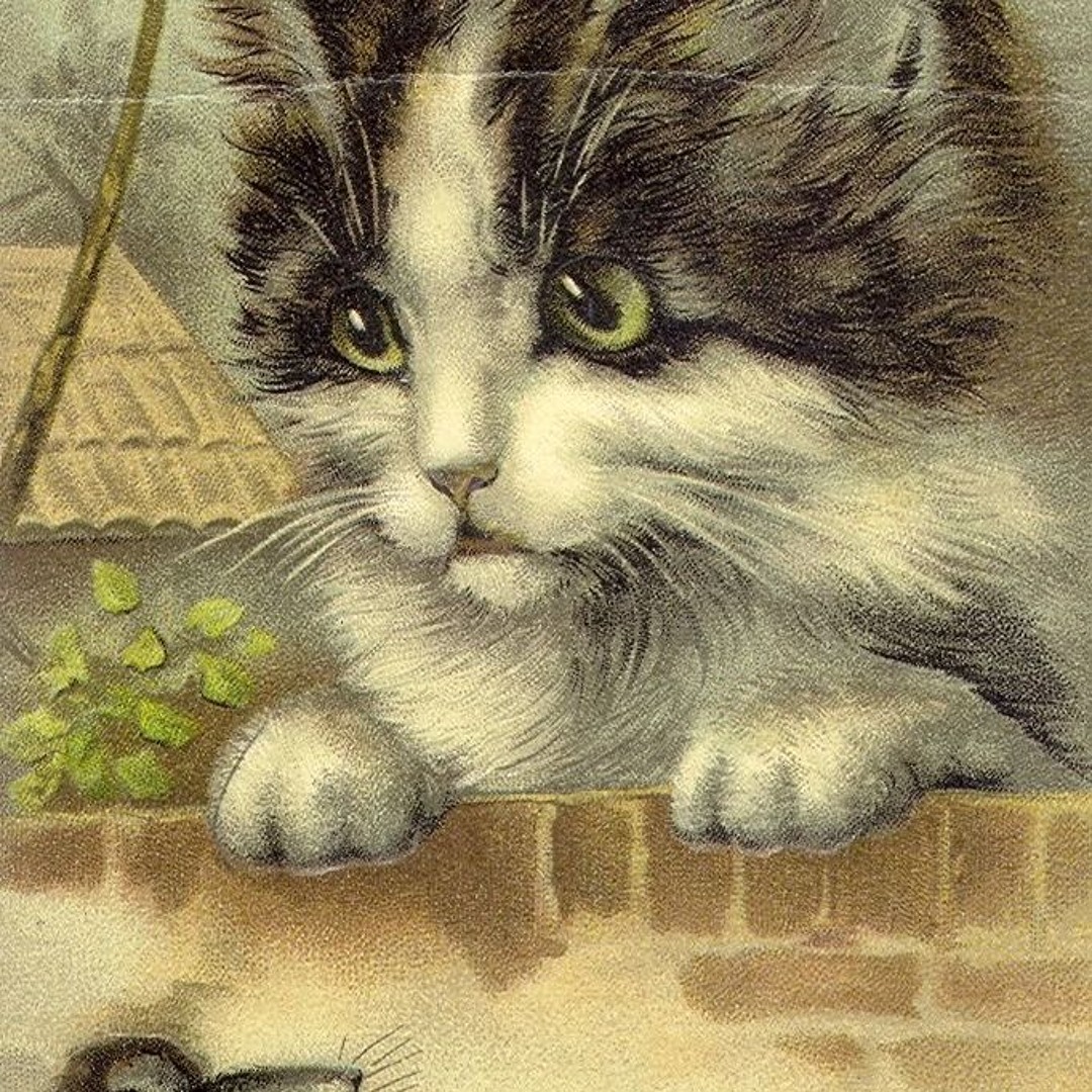 Stream episode Enter The Crypt 08/11/23 by Delta of Venus WIDR FM ...