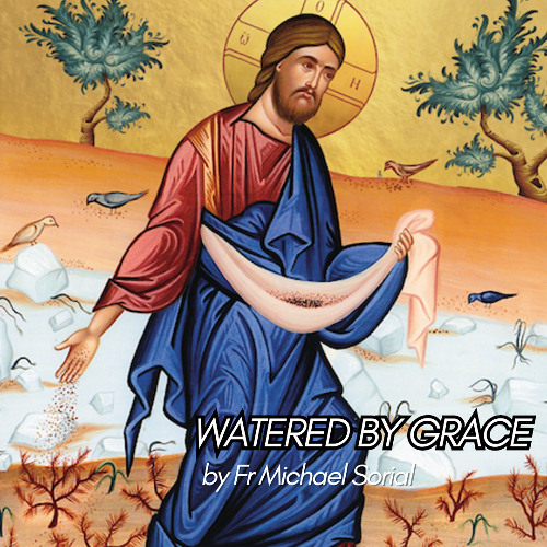 Stream Watered by Grace by Fr. Michael Sorial by The Link | Listen ...