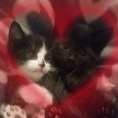 Stream Vas A Querer Volver - Ñengo Flow X Jon Z (speed Up) by 💫 ...